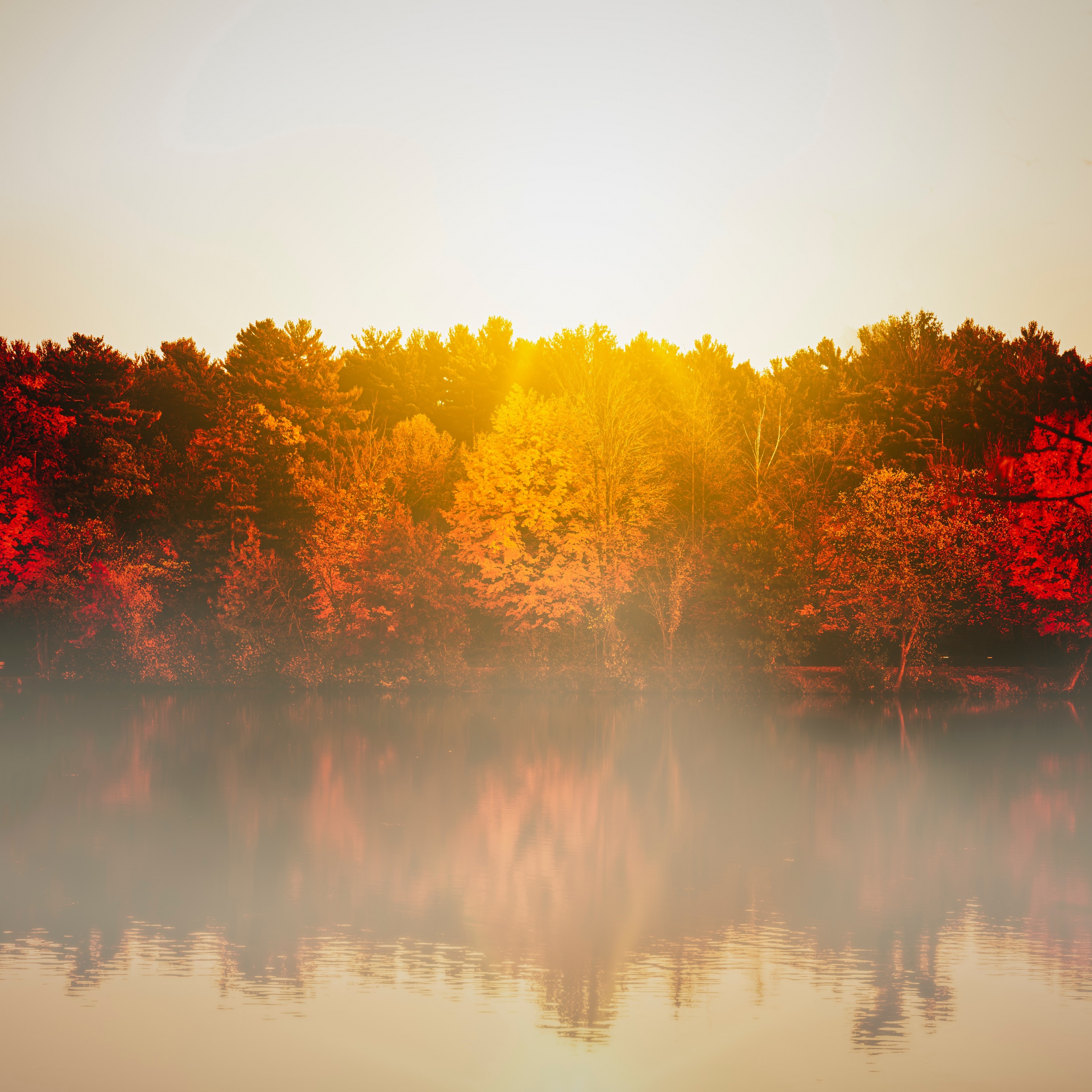Autumn Trees Reflected In A Lake Wallpapers - Wallpaper Cave