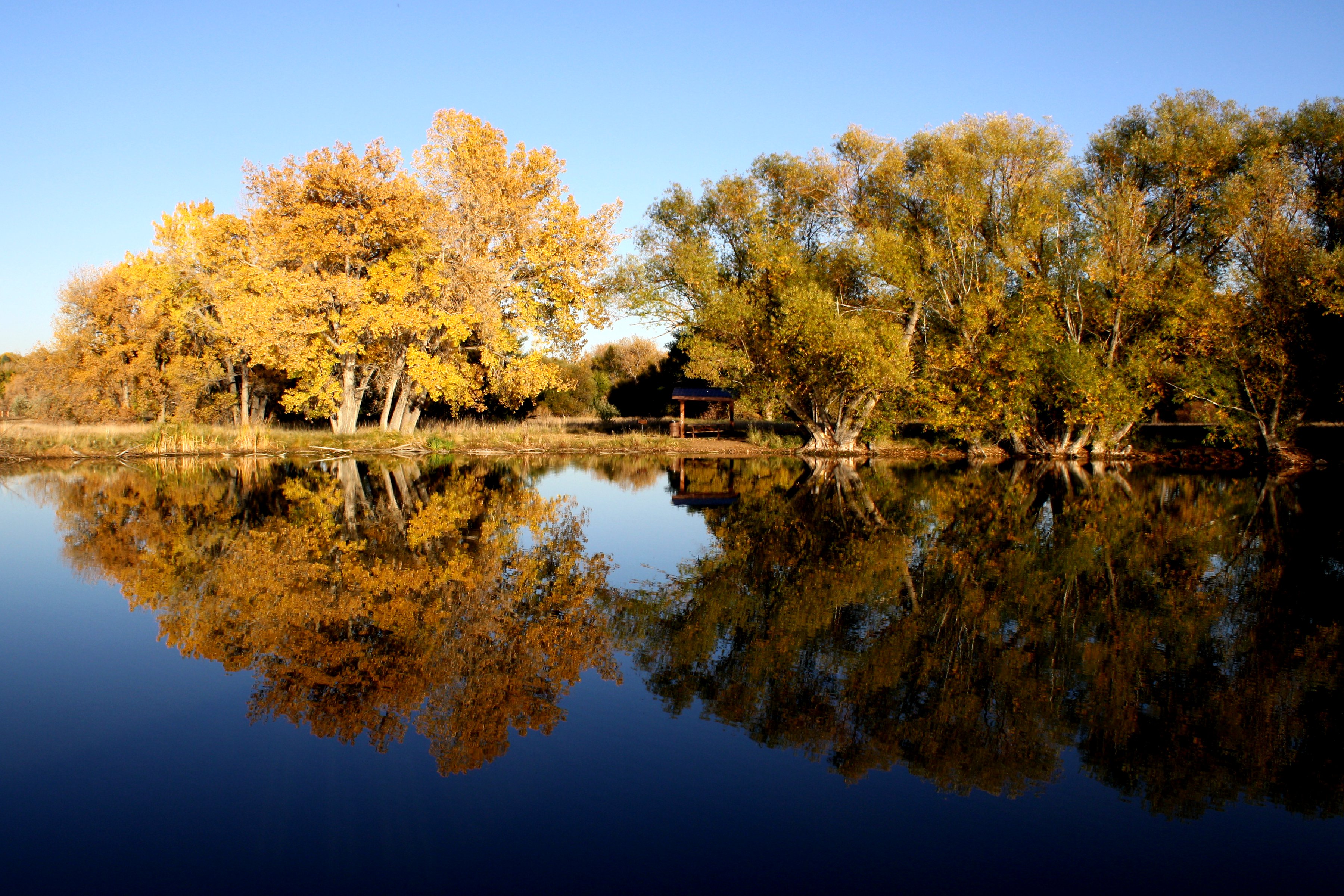Autumn Trees Reflected In A Lake Wallpapers - Wallpaper Cave