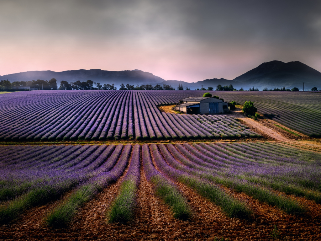 Lavender Autumn Wallpapers - Wallpaper Cave