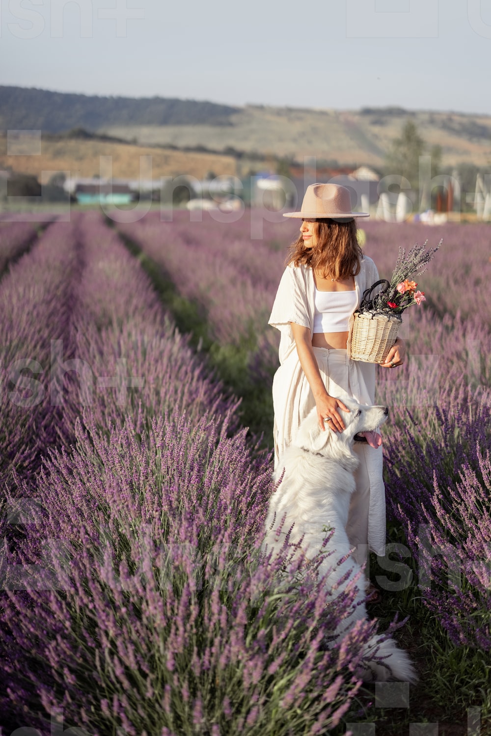 Lavender Autumn Wallpapers - Wallpaper Cave