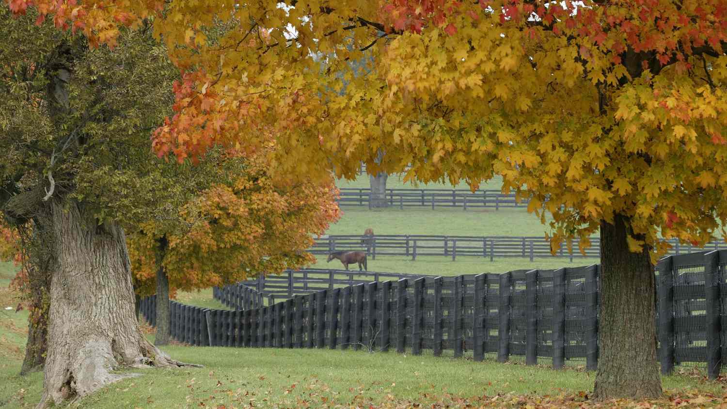 Fall Farm Wallpapers - Wallpaper Cave