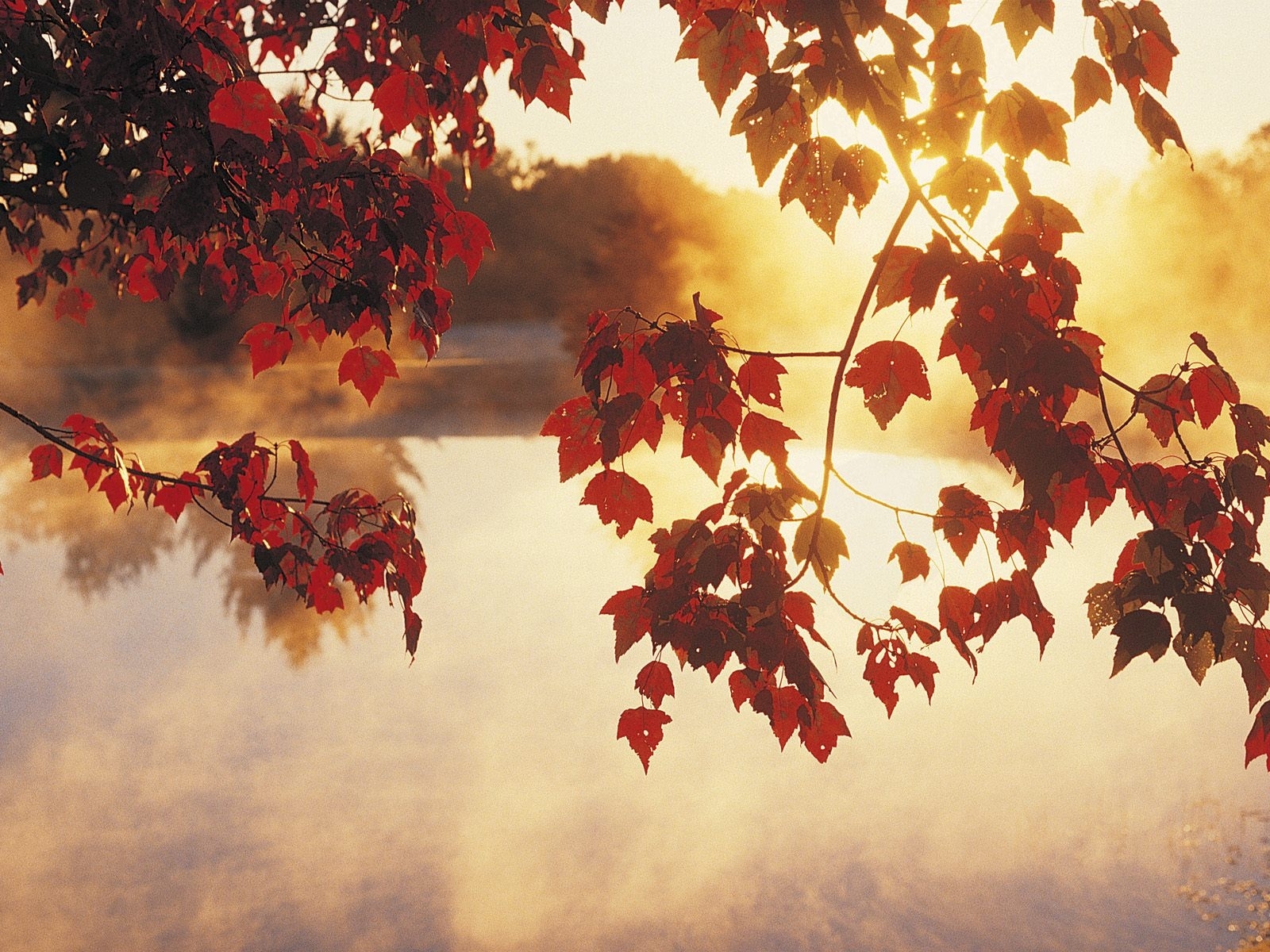 Autumn Leaves Sunset Wallpapers - Wallpaper Cave