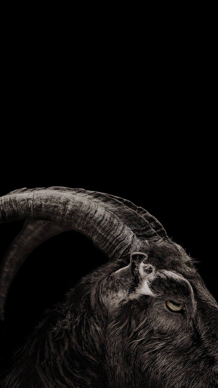 Creepy Goat Wallpapers - Wallpaper Cave