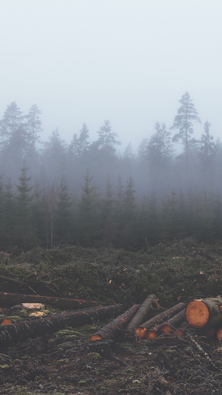 Cutting Trees Wallpapers - Wallpaper Cave