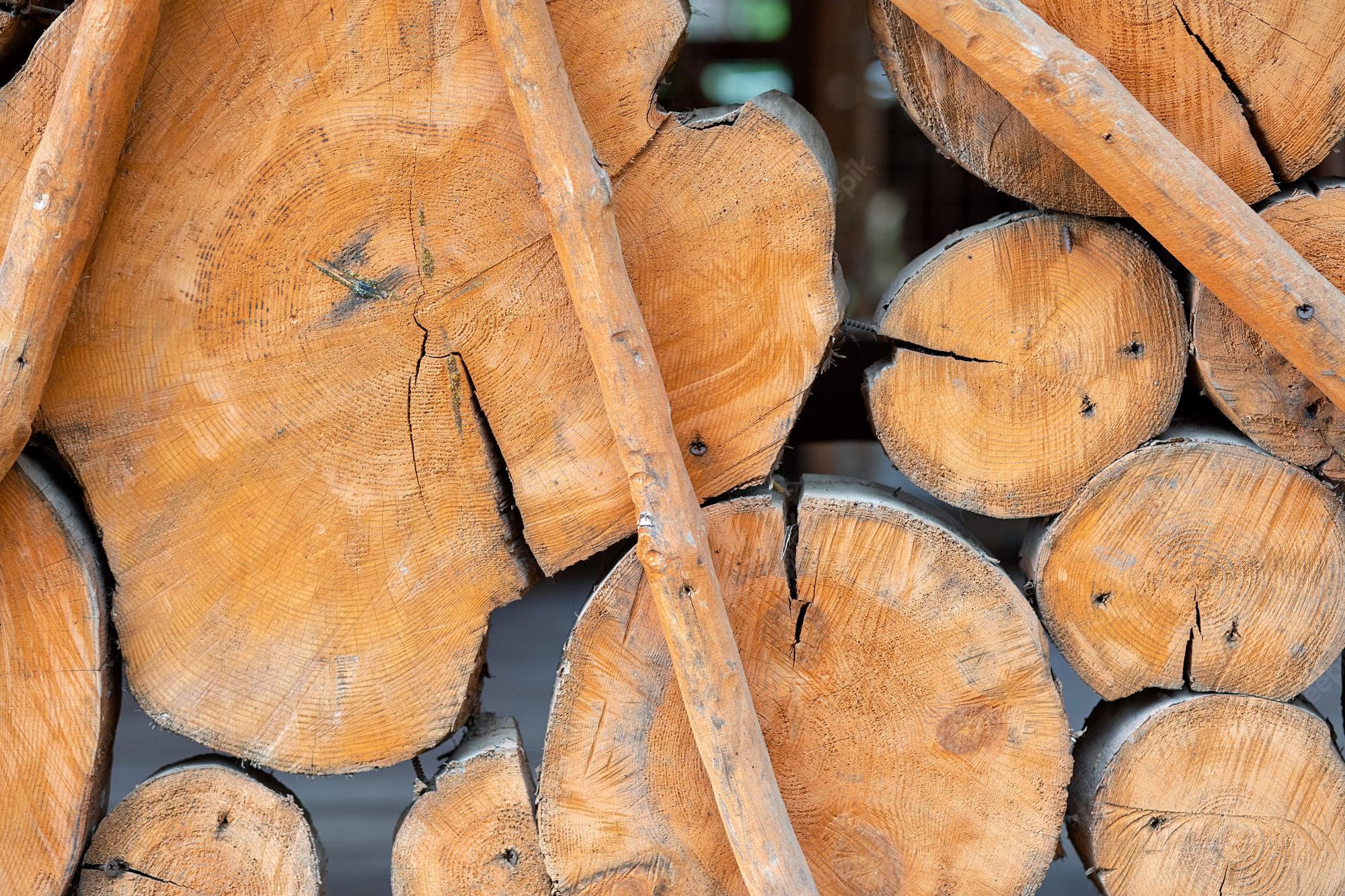 Cutting Trees Wallpapers - Wallpaper Cave