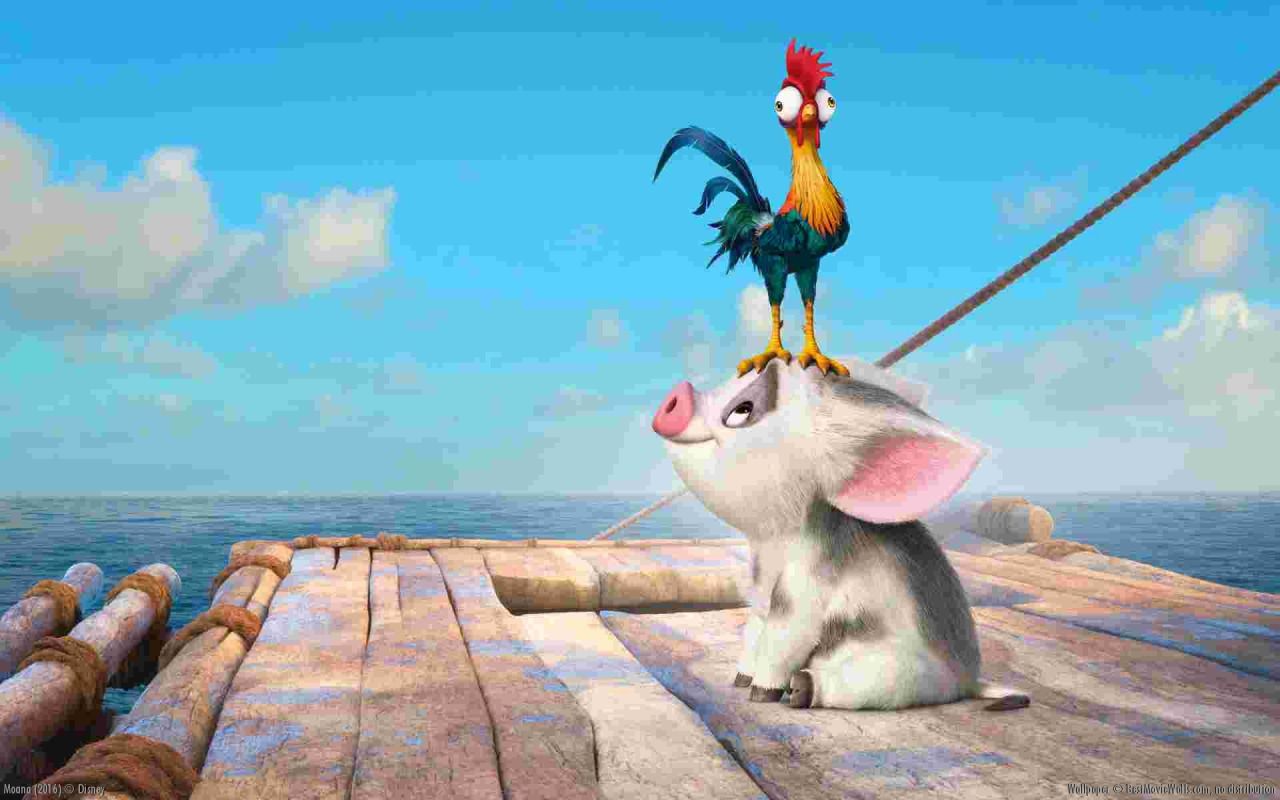 Pua Moana Wallpapers - Wallpaper Cave