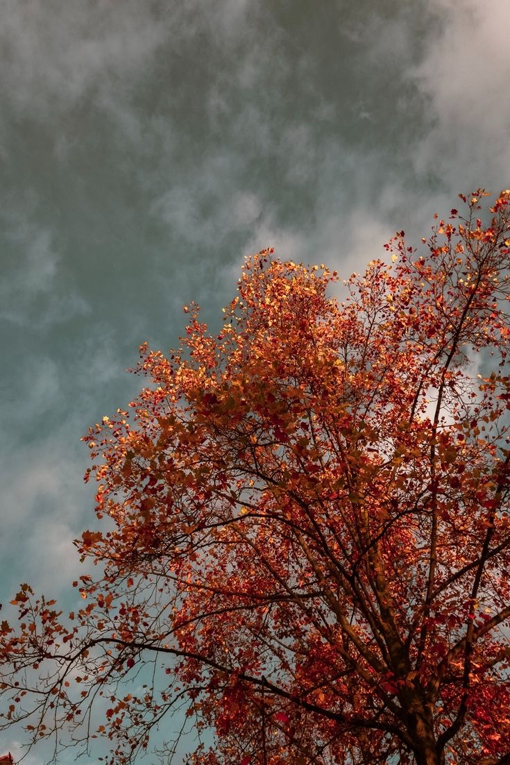 Autumn Storm Wallpapers - Wallpaper Cave