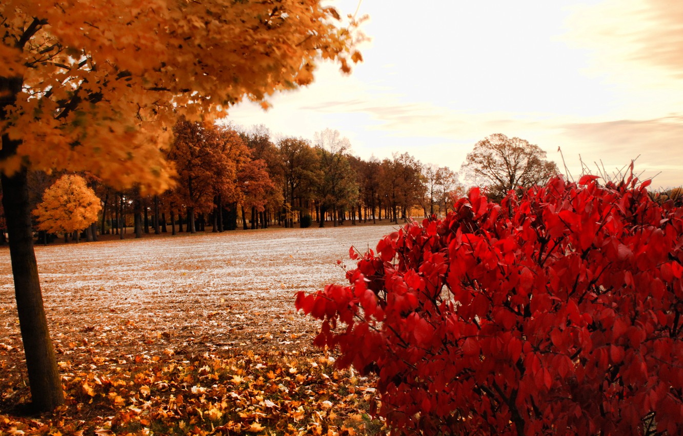 Autumn Storm Wallpapers - Wallpaper Cave