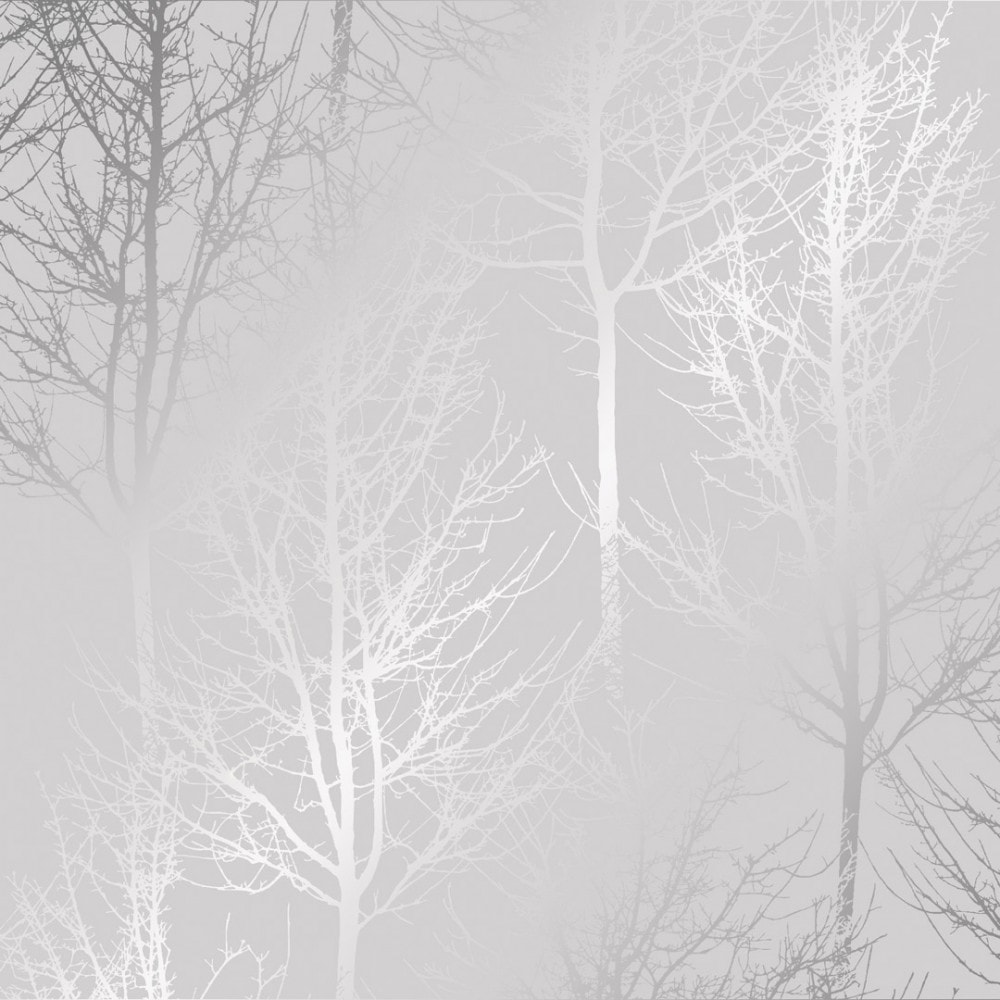 Silver Winter Wallpapers - Wallpaper Cave