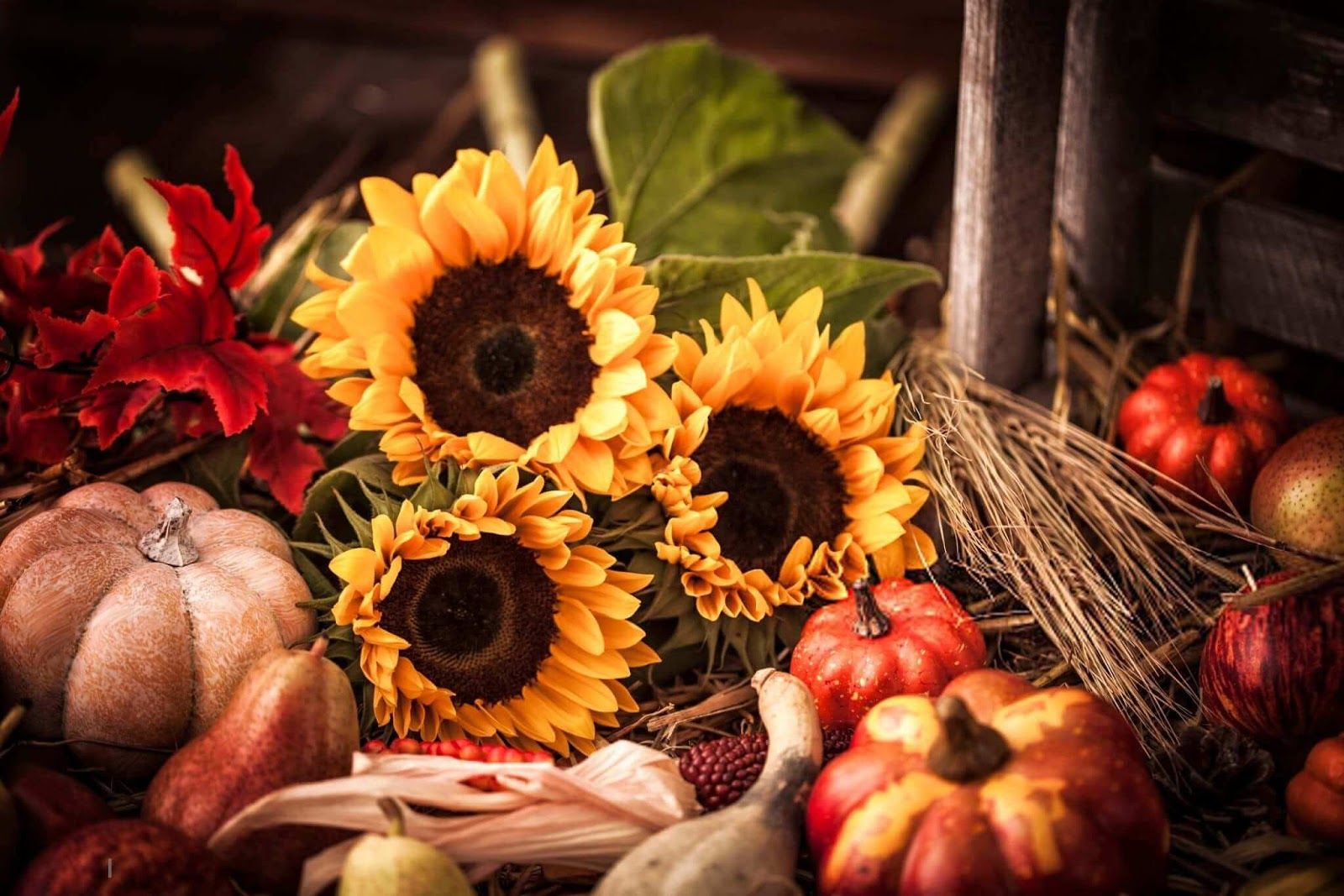 Thanksgiving Portrait Wallpapers - Wallpaper Cave