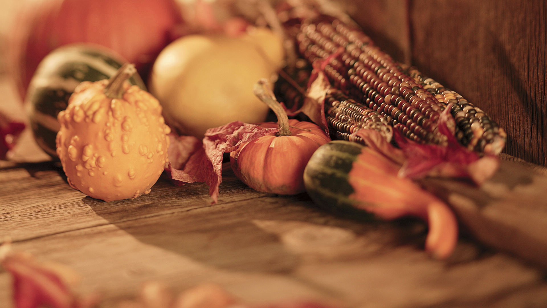 Thanksgiving Portrait Wallpapers - Wallpaper Cave