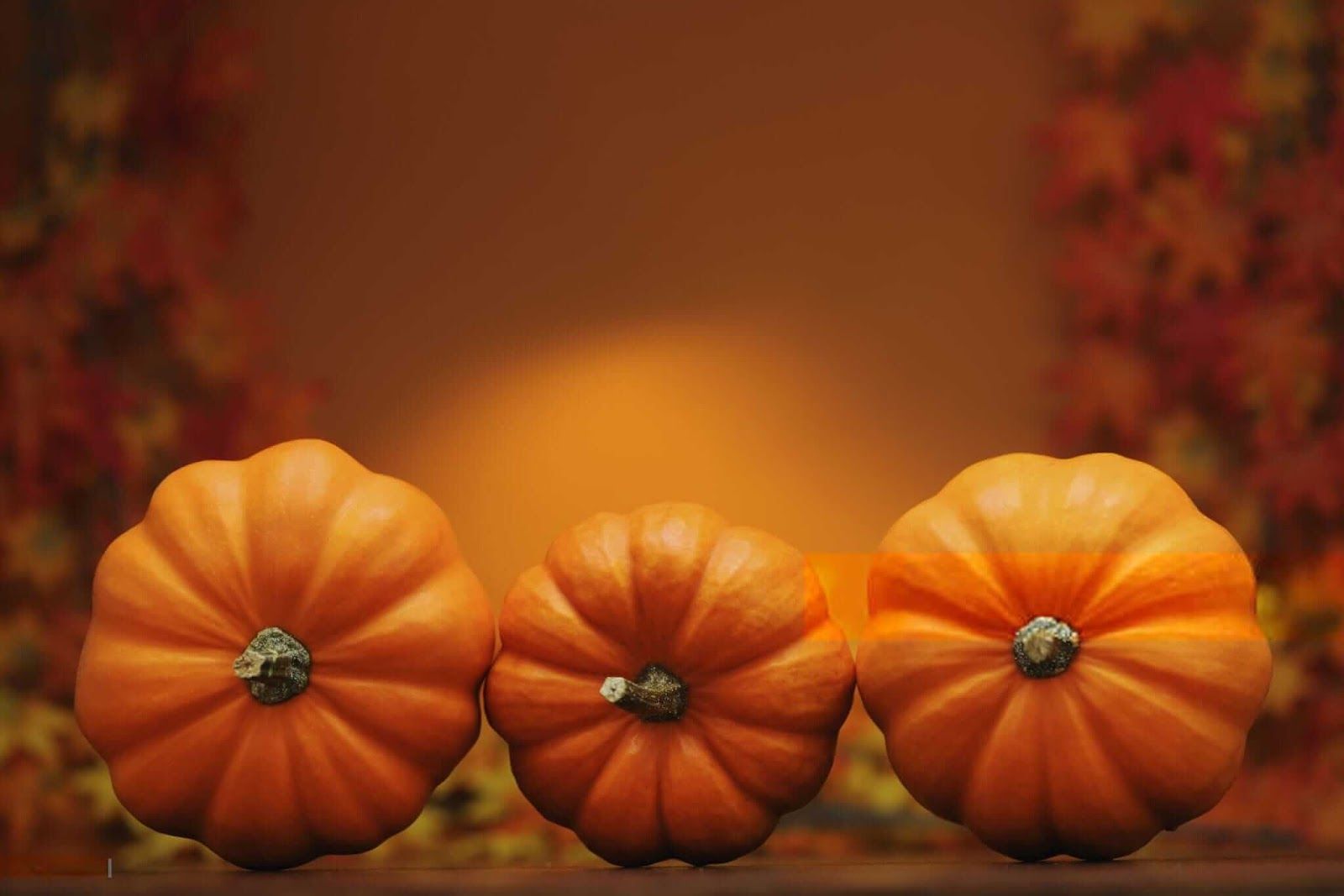 Thanksgiving Portrait Wallpapers - Wallpaper Cave