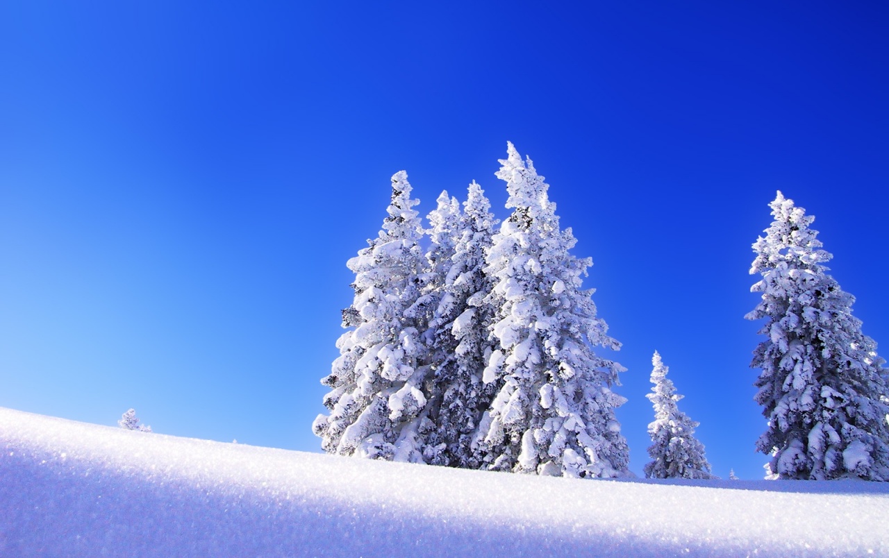 Blue Winter Trees Wallpapers - Wallpaper Cave