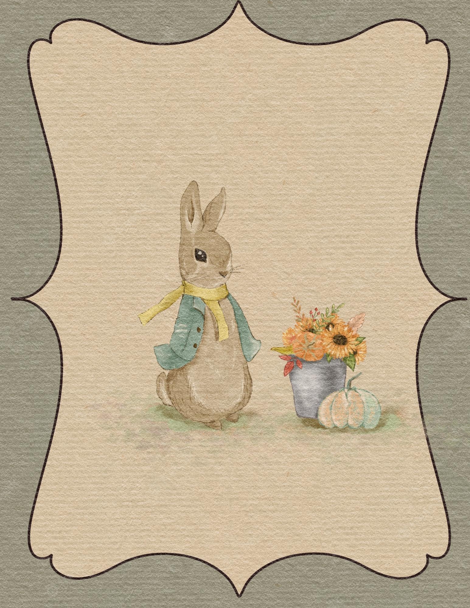 Rabbit Thanksgiving Wallpapers - Wallpaper Cave
