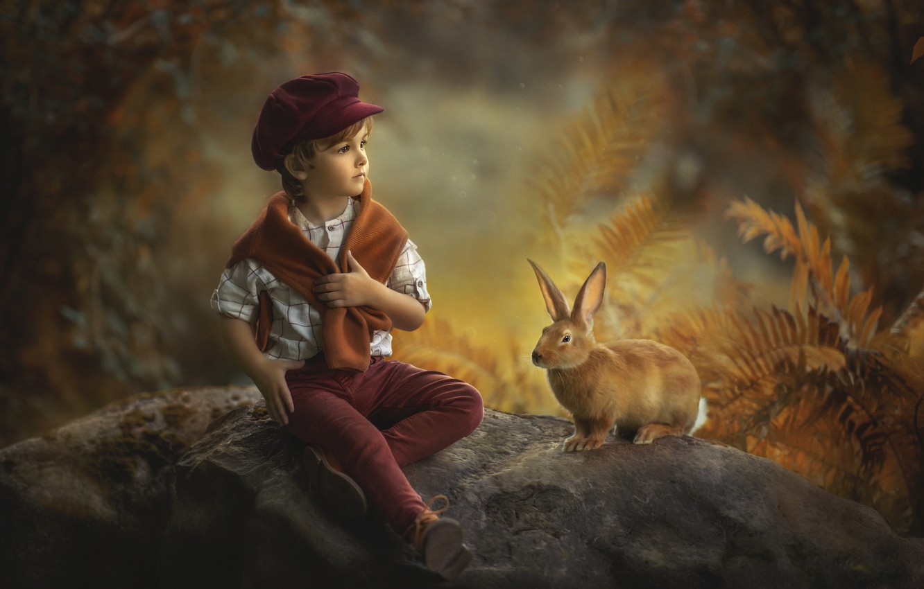 Autumn Rabbit Wallpapers - Wallpaper Cave