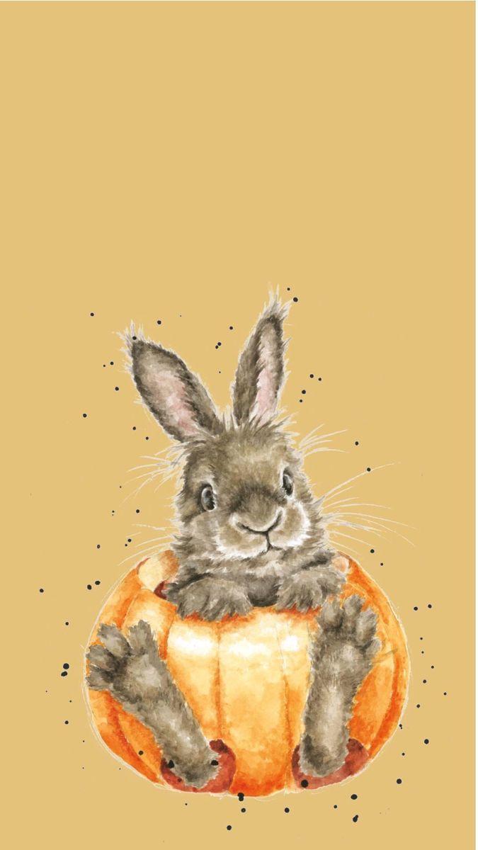 Autumn Rabbit Wallpapers - Wallpaper Cave