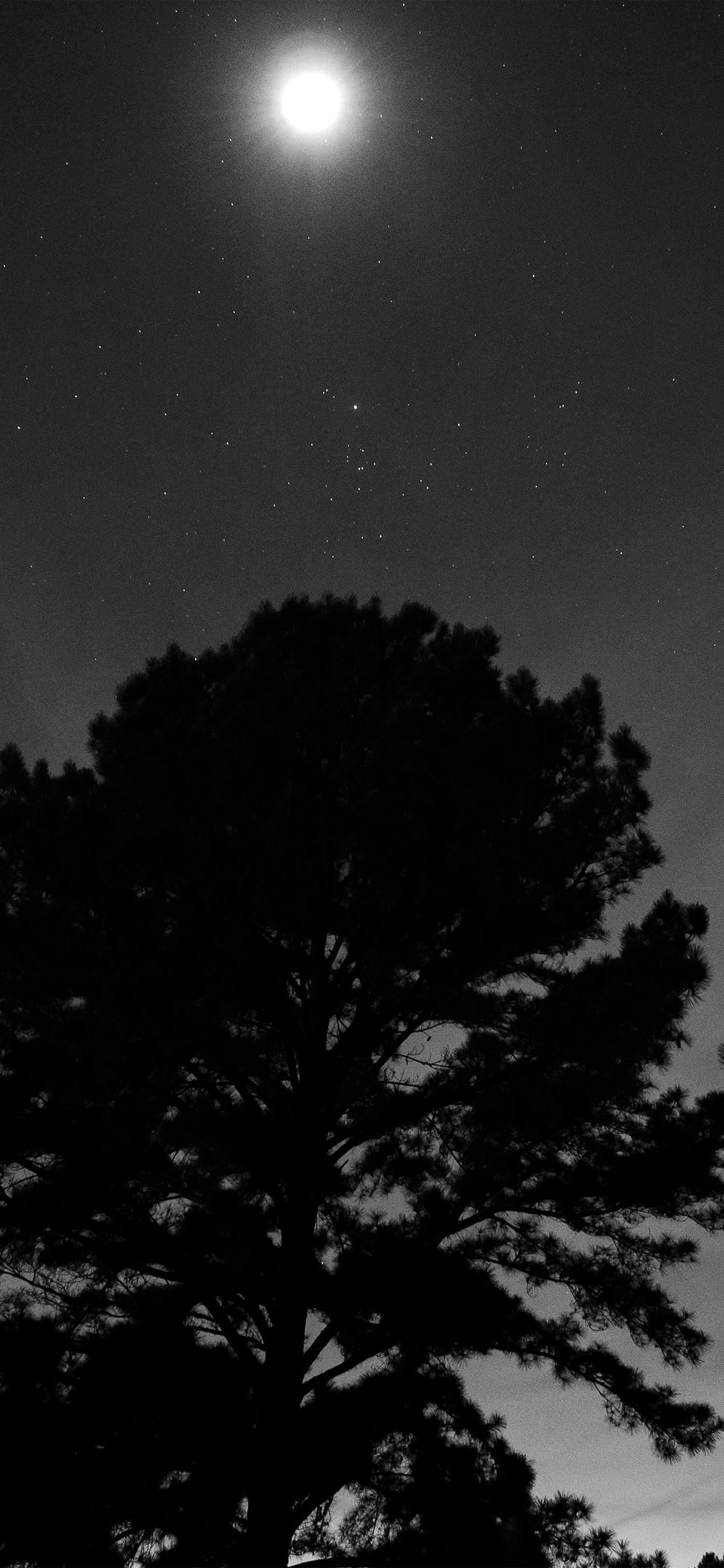 Black Shine Wallpapers - Wallpaper Cave