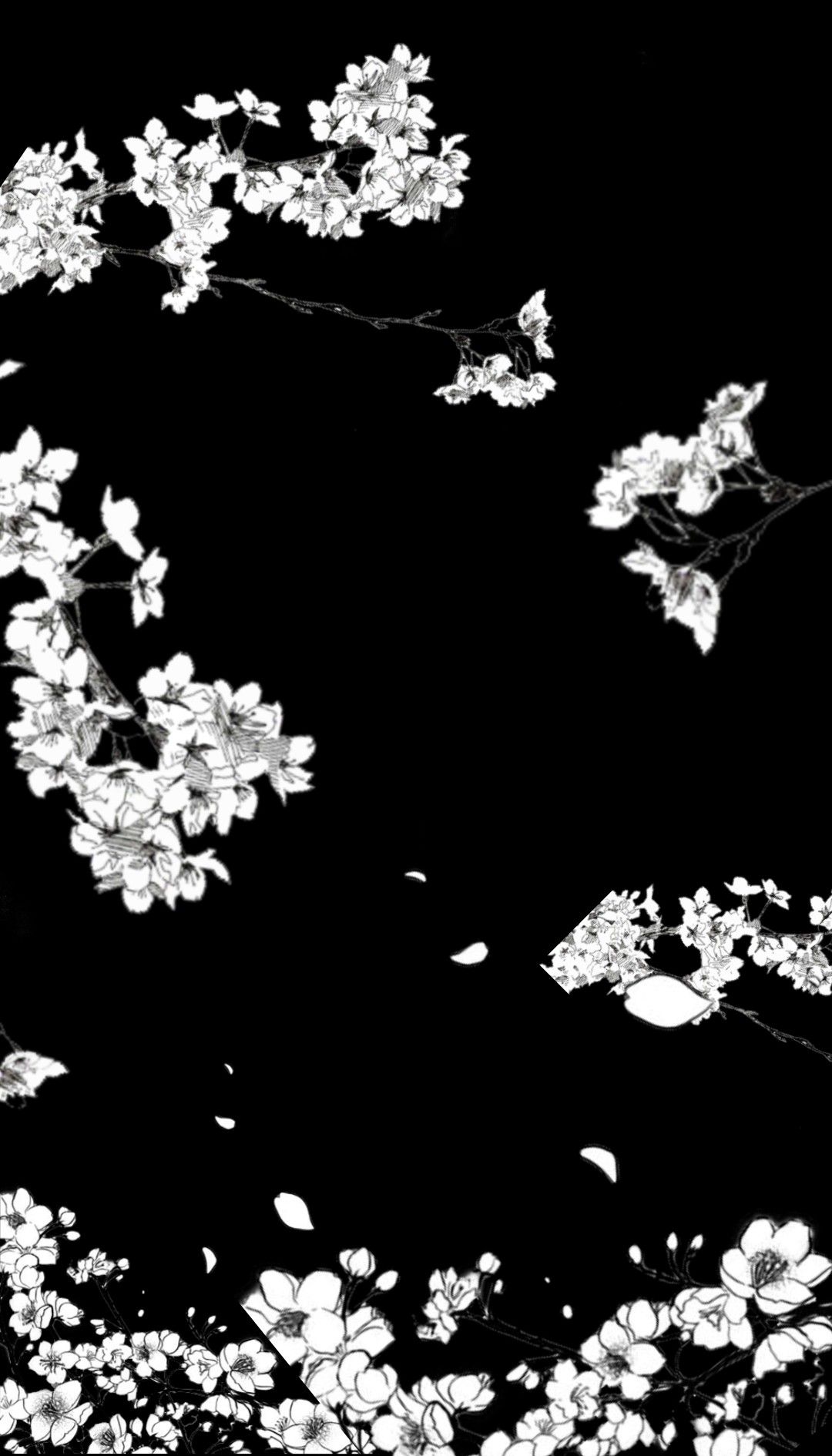 Black And White Sakura Wallpapers Wallpaper Cave