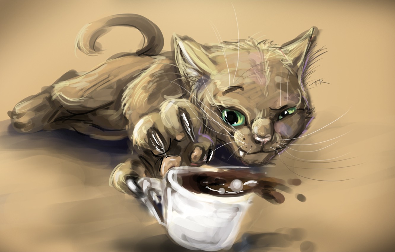 Cat Coffee Wallpapers - Wallpaper Cave