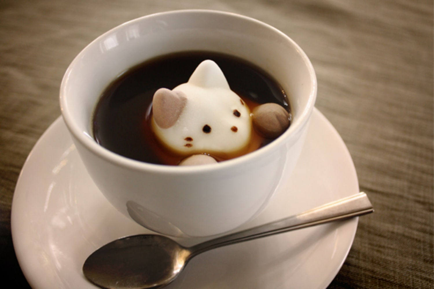 Cat Coffee Wallpapers - Wallpaper Cave