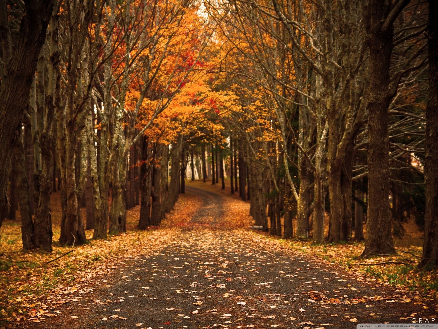 Autumn Street PC Wallpapers - Wallpaper Cave