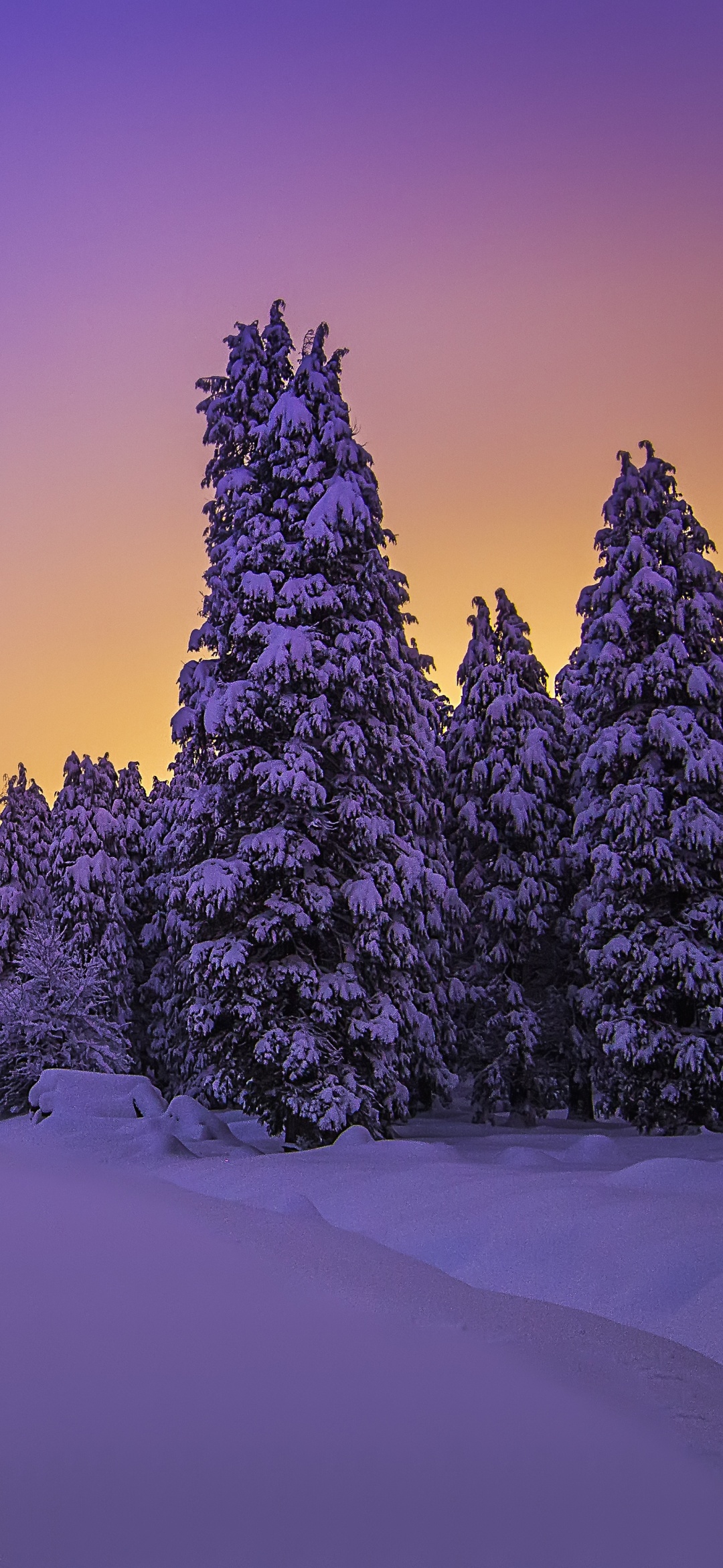 Purple Winter Sunset Wallpapers - Wallpaper Cave