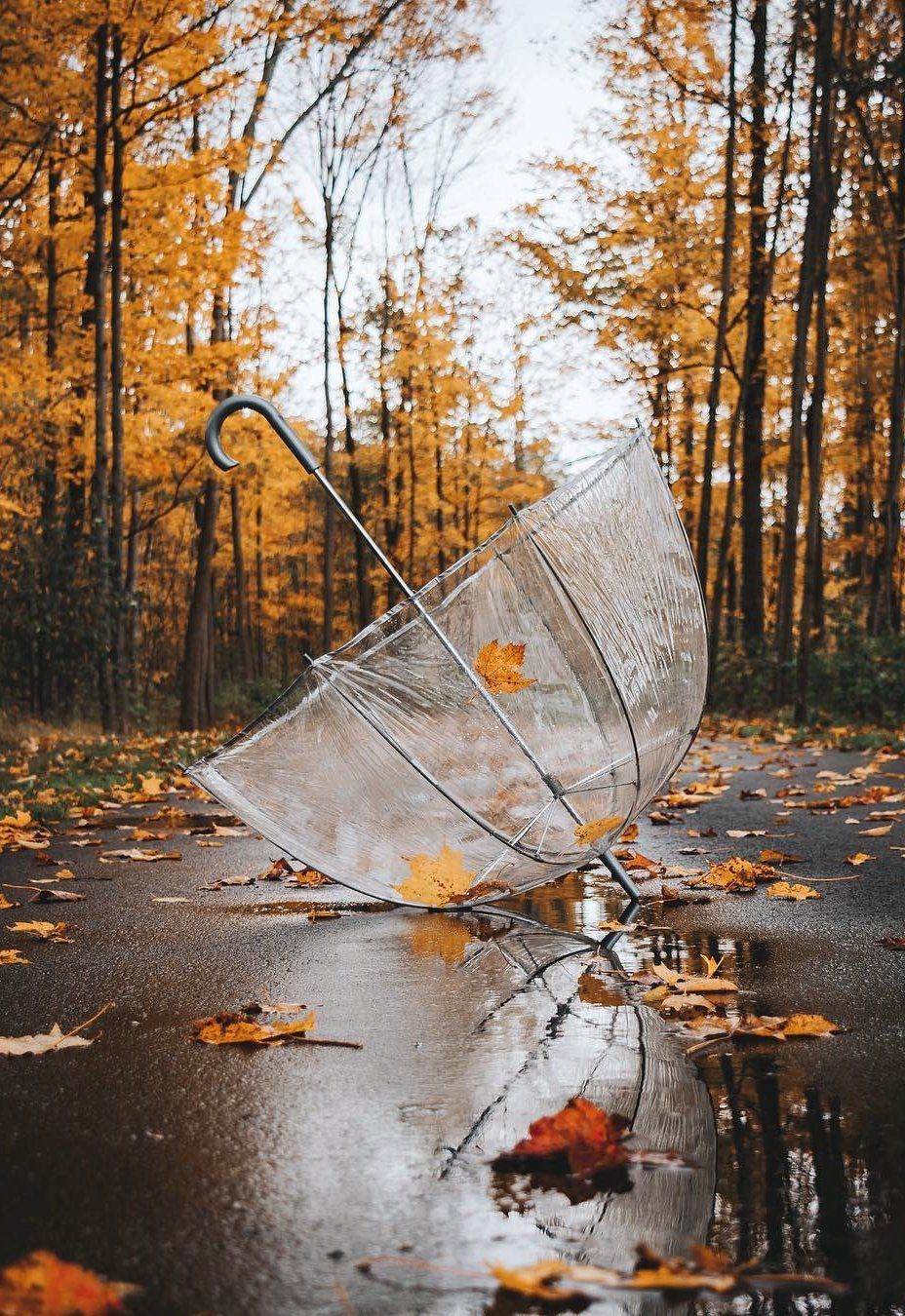 Autumn Rainy Day Wallpapers - Wallpaper Cave