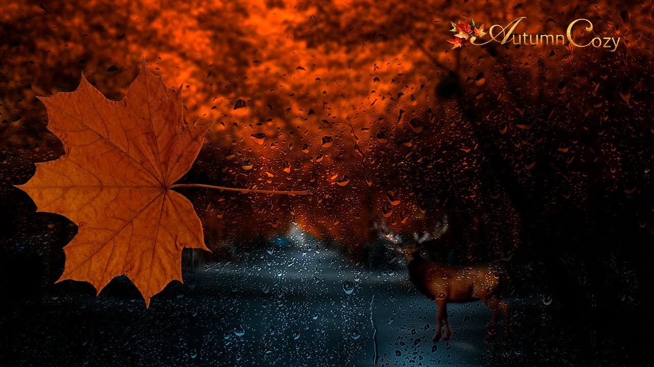 Autumn Rainy Day Wallpapers - Wallpaper Cave