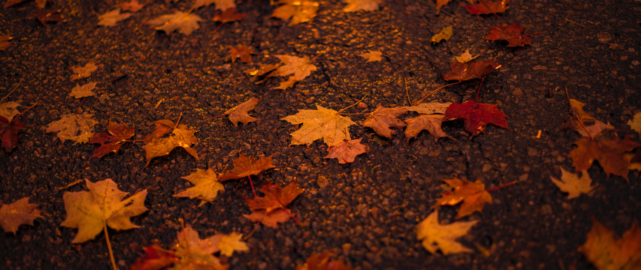 2560x1080 Autumn Wallpapers - Wallpaper Cave