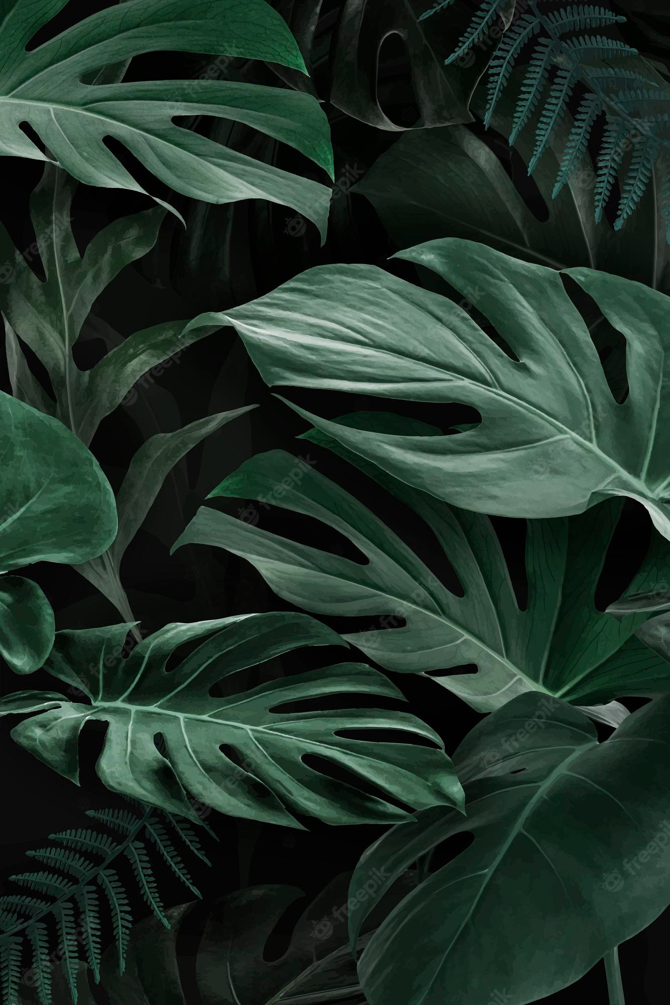 Monstera Leaf Wallpapers - Wallpaper Cave