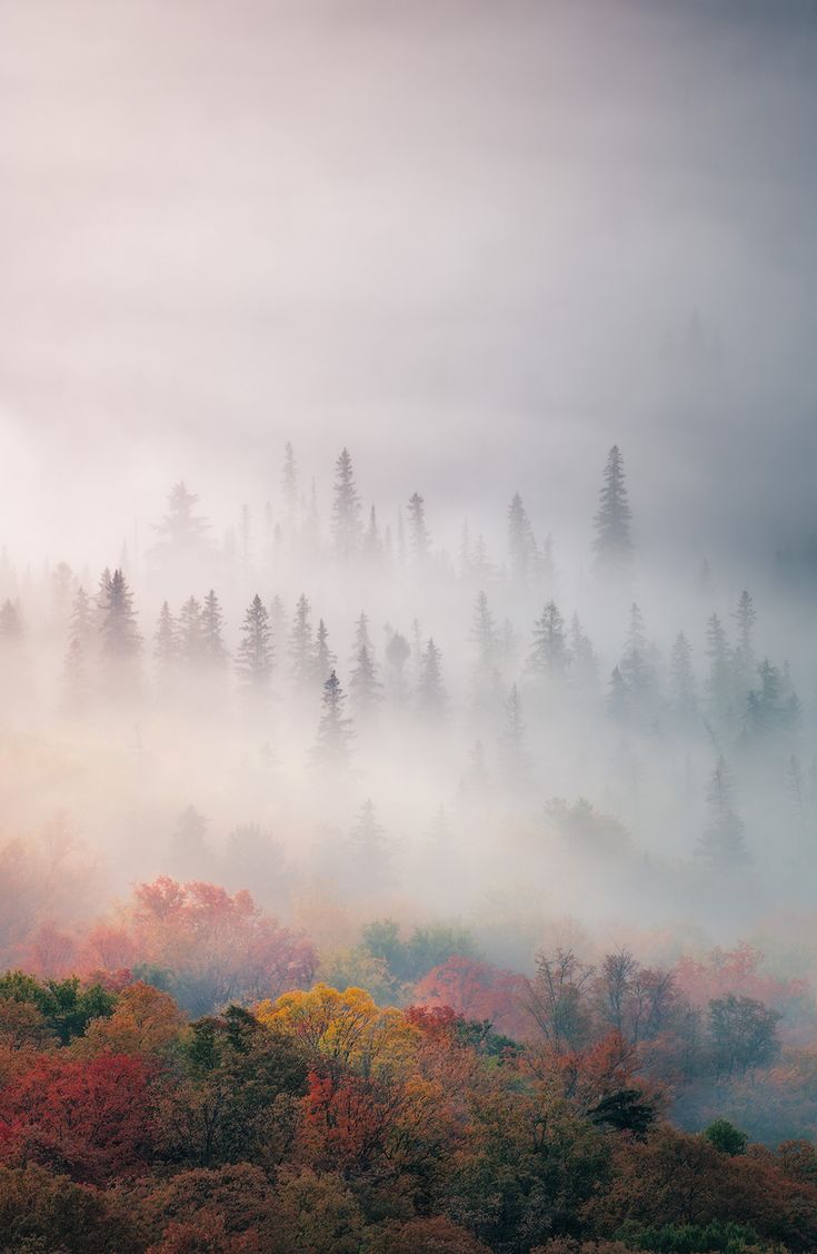 Foggy Autumn Mornings Wallpapers - Wallpaper Cave