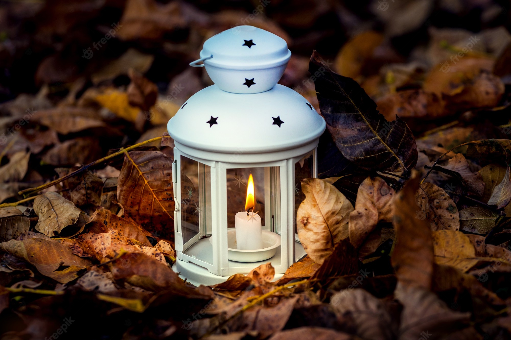 Autumn And Lantern Wallpapers - Wallpaper Cave