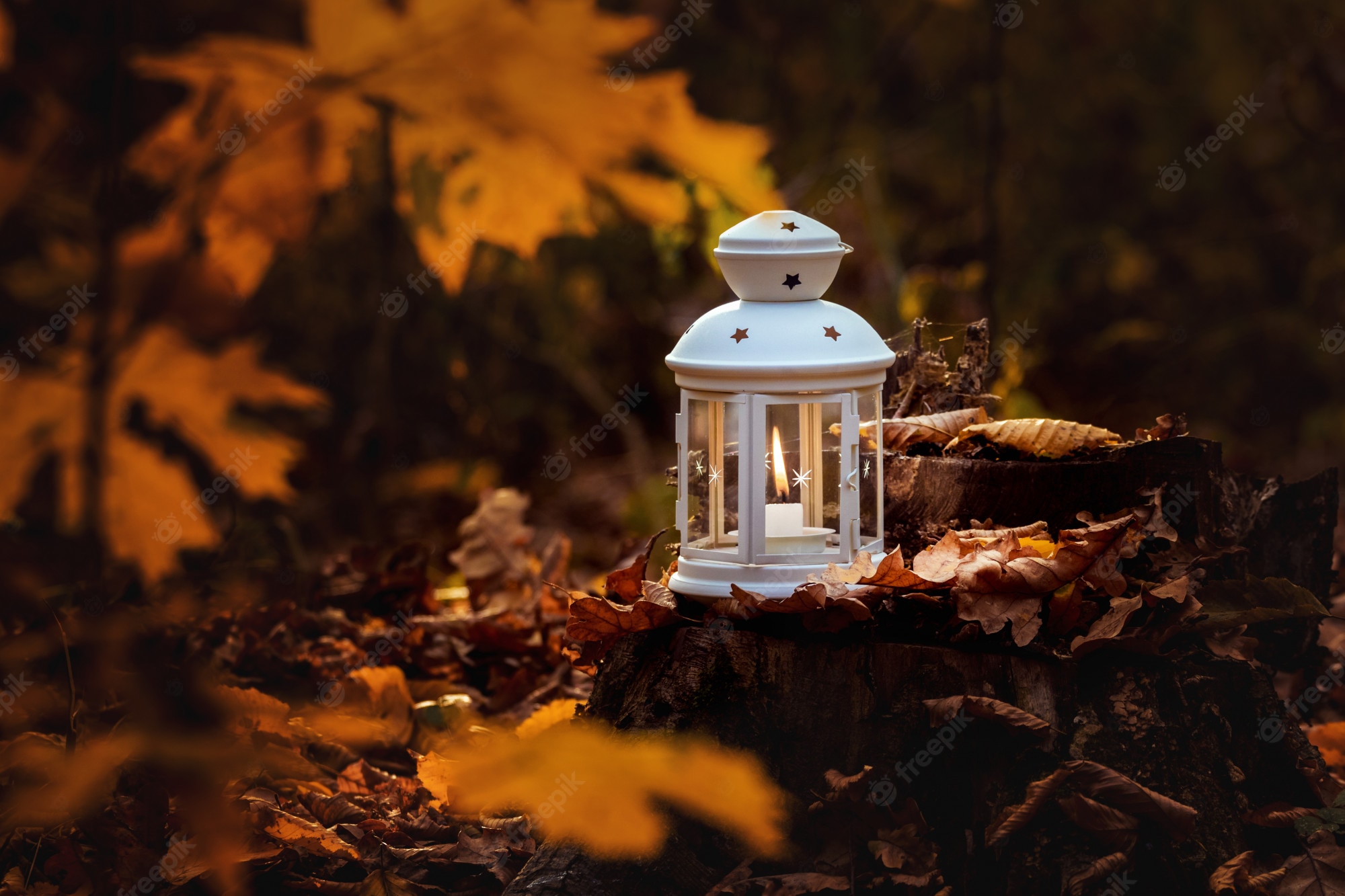 Autumn And Lantern Wallpapers - Wallpaper Cave
