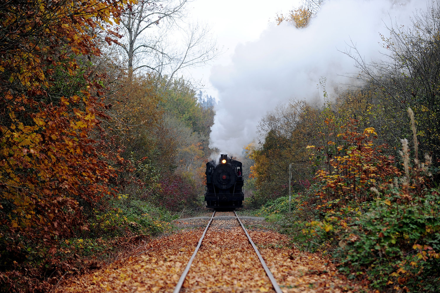 Autumn Train Rides Wallpapers - Wallpaper Cave