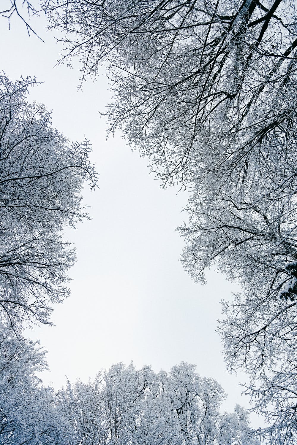 Aesthetic Grey Winter Wallpapers - Wallpaper Cave