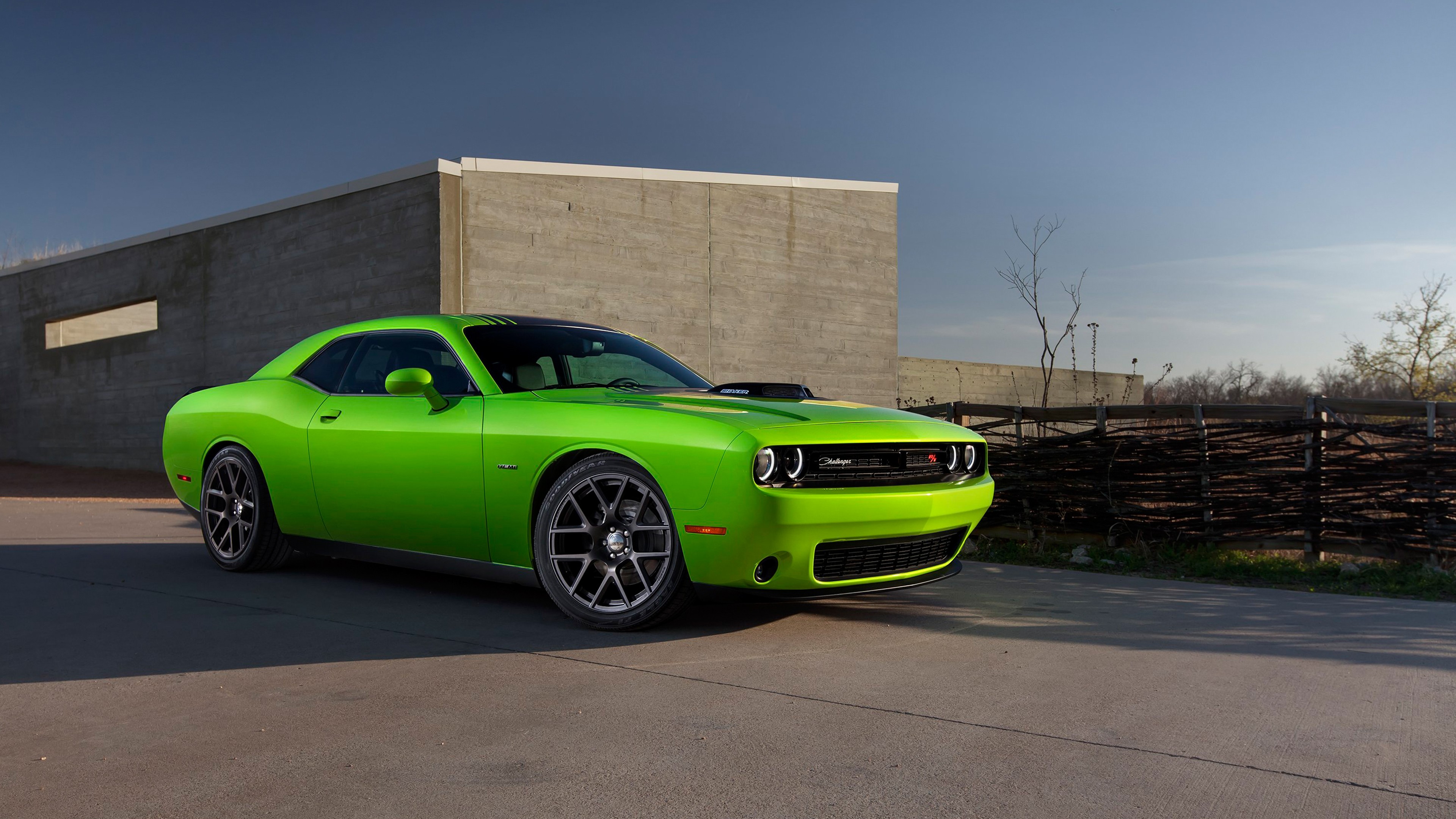 Green Hellcat Wallpapers - Wallpaper Cave