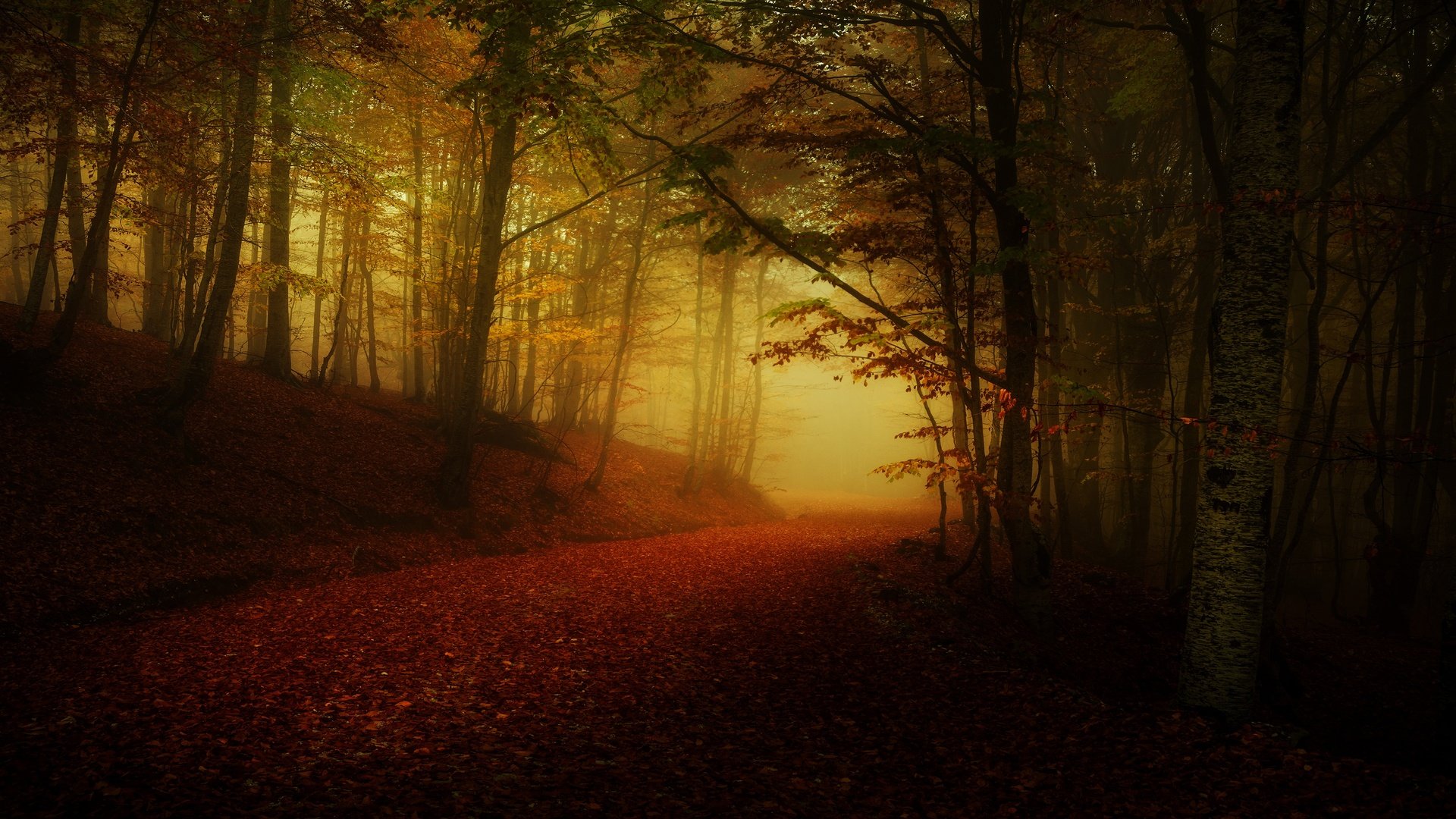 Autumn Twilight Wallpapers - Wallpaper Cave