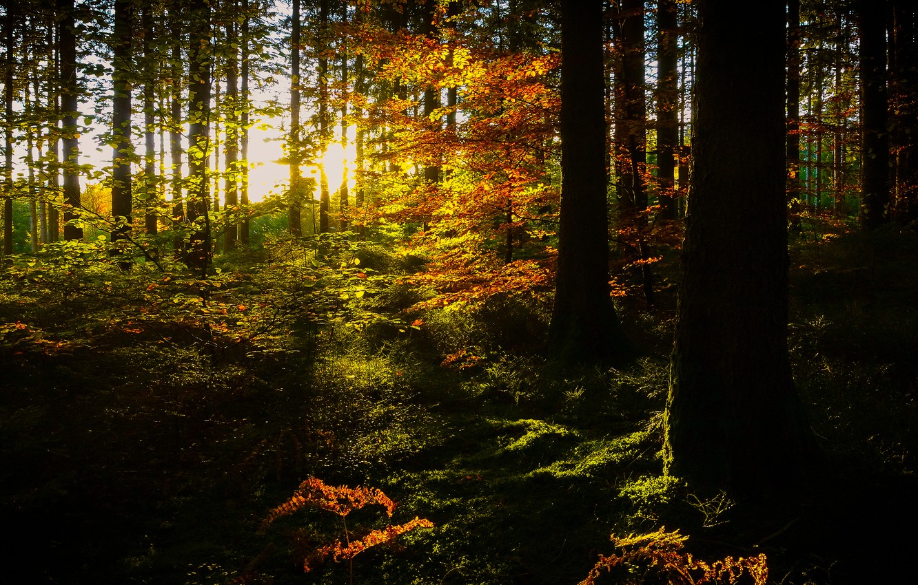 Autumn Twilight Wallpapers - Wallpaper Cave