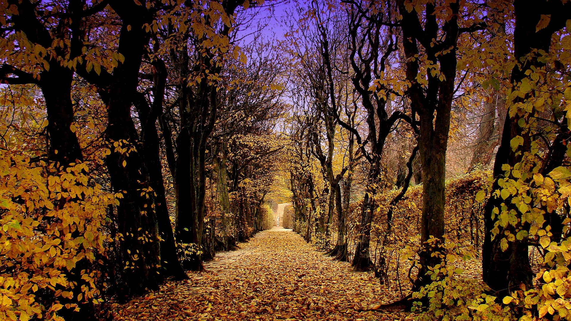 Autumn Poland Wallpapers - Wallpaper Cave