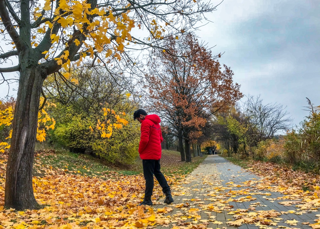 Autumn Poland Wallpapers - Wallpaper Cave