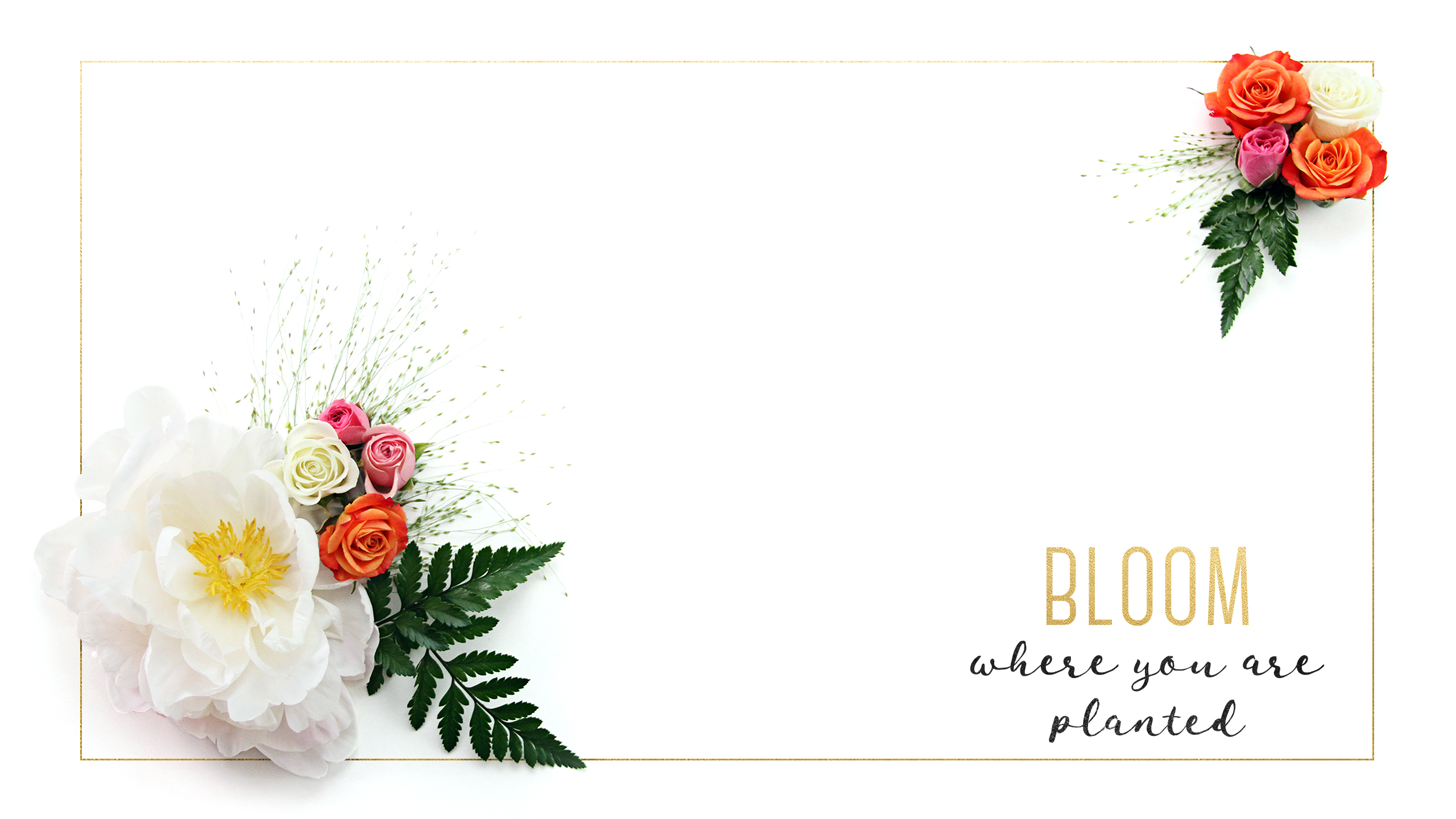 Flower With Message Wallpapers - Wallpaper Cave