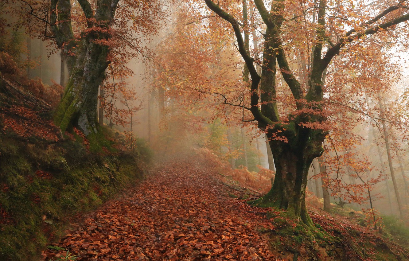Spain Autumn Wallpapers - Wallpaper Cave
