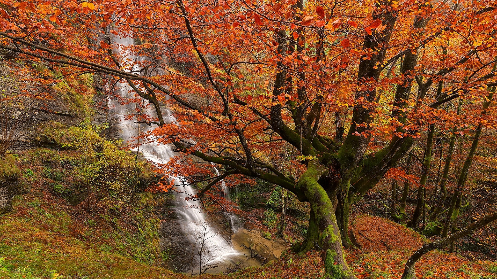 Spain Autumn Wallpapers - Wallpaper Cave