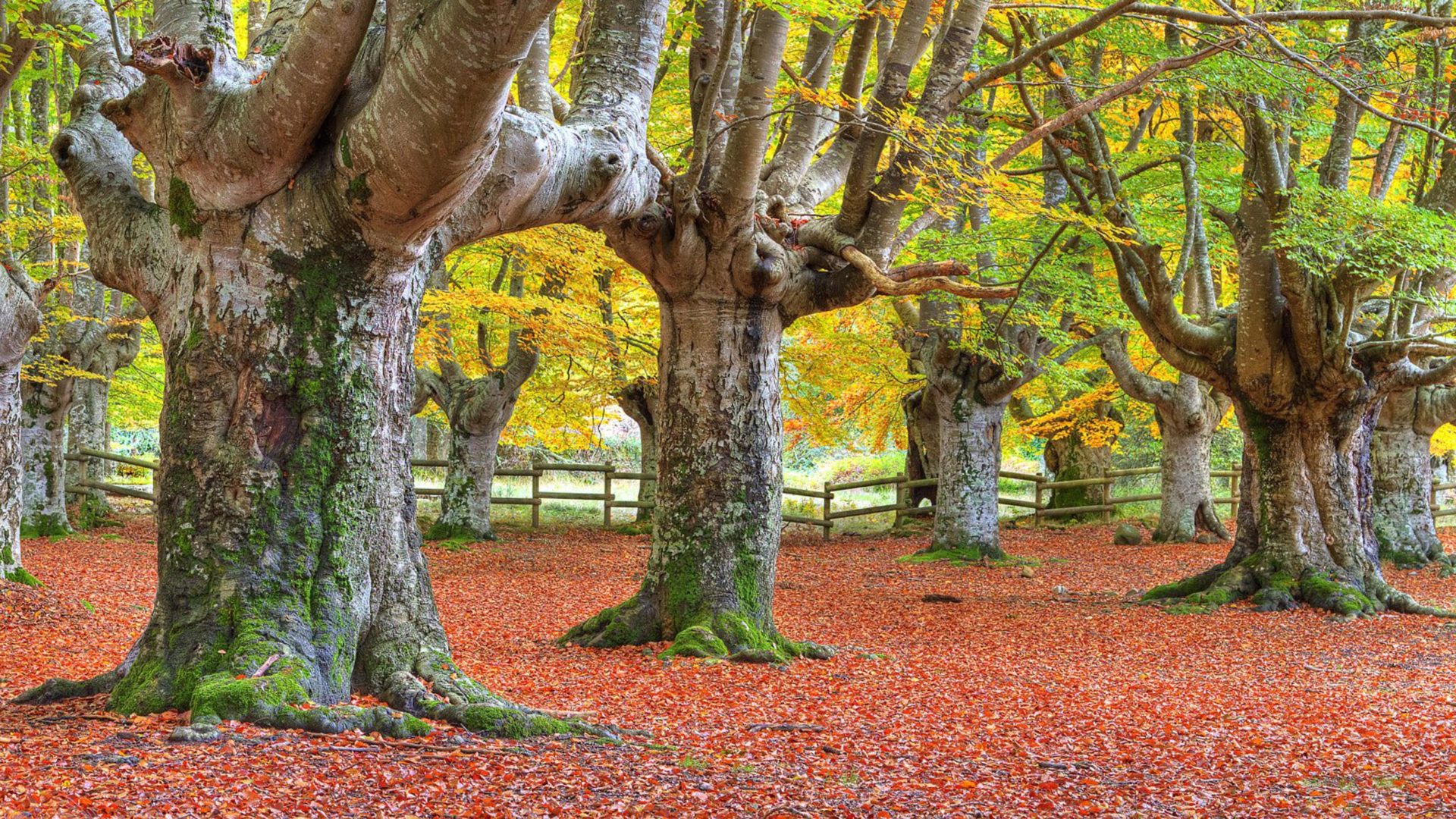 Spain Autumn Wallpapers - Wallpaper Cave