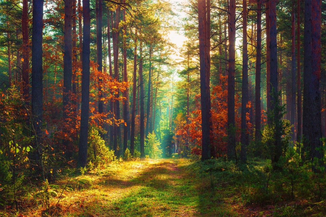 Spain Autumn Wallpapers - Wallpaper Cave