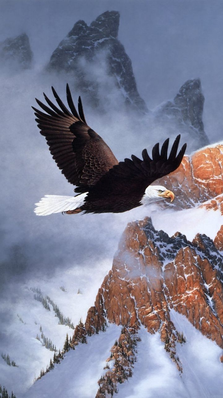 Eagle Mobile Wallpapers - Wallpaper Cave