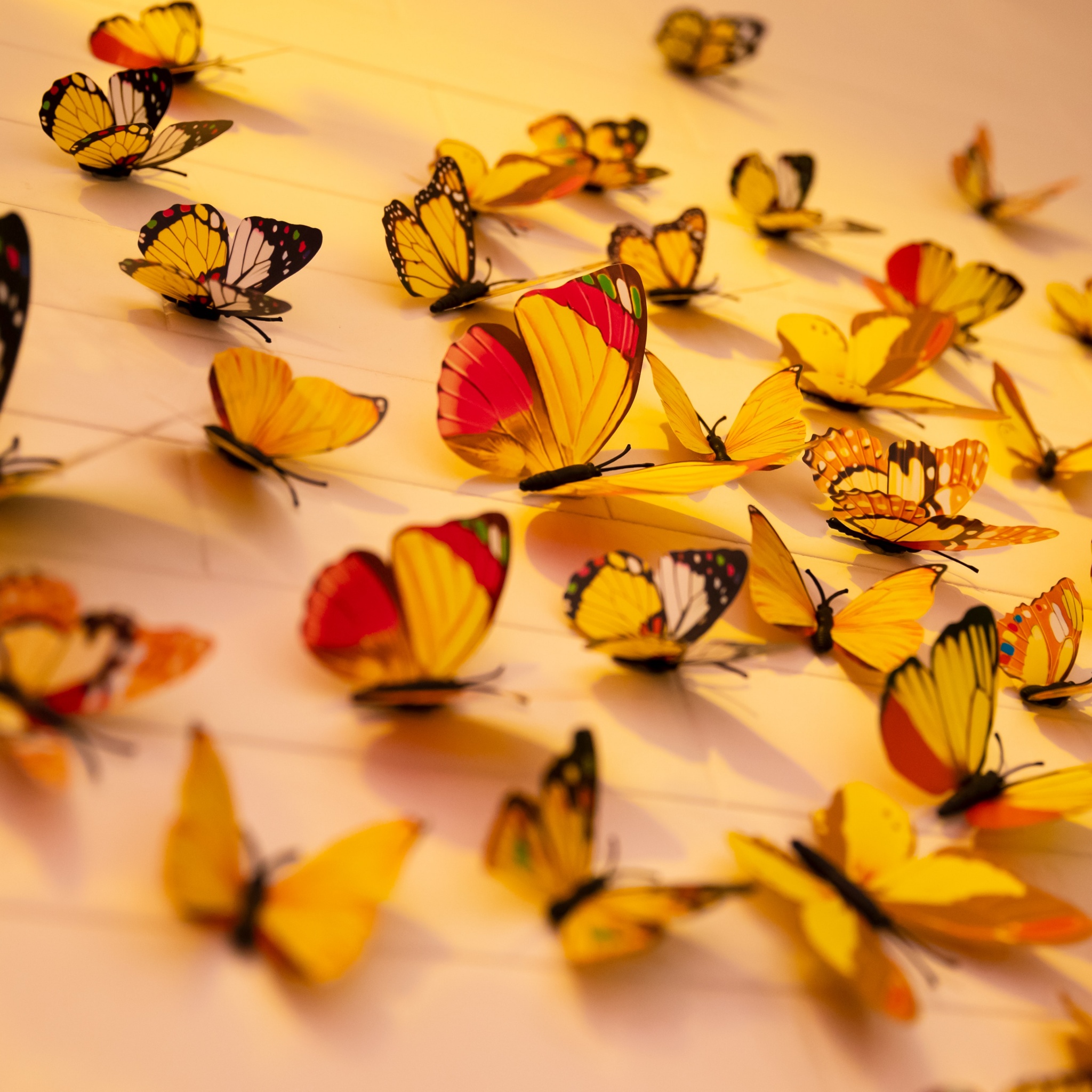 Autumn Butterfly Wallpapers - Wallpaper Cave