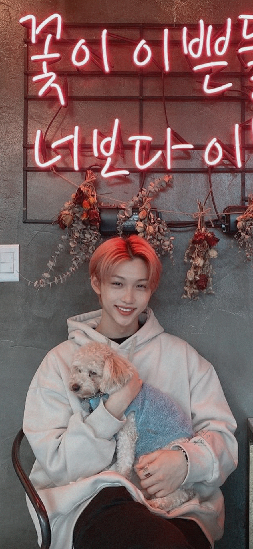 Lee Felix Smiling Wallpapers - Wallpaper Cave