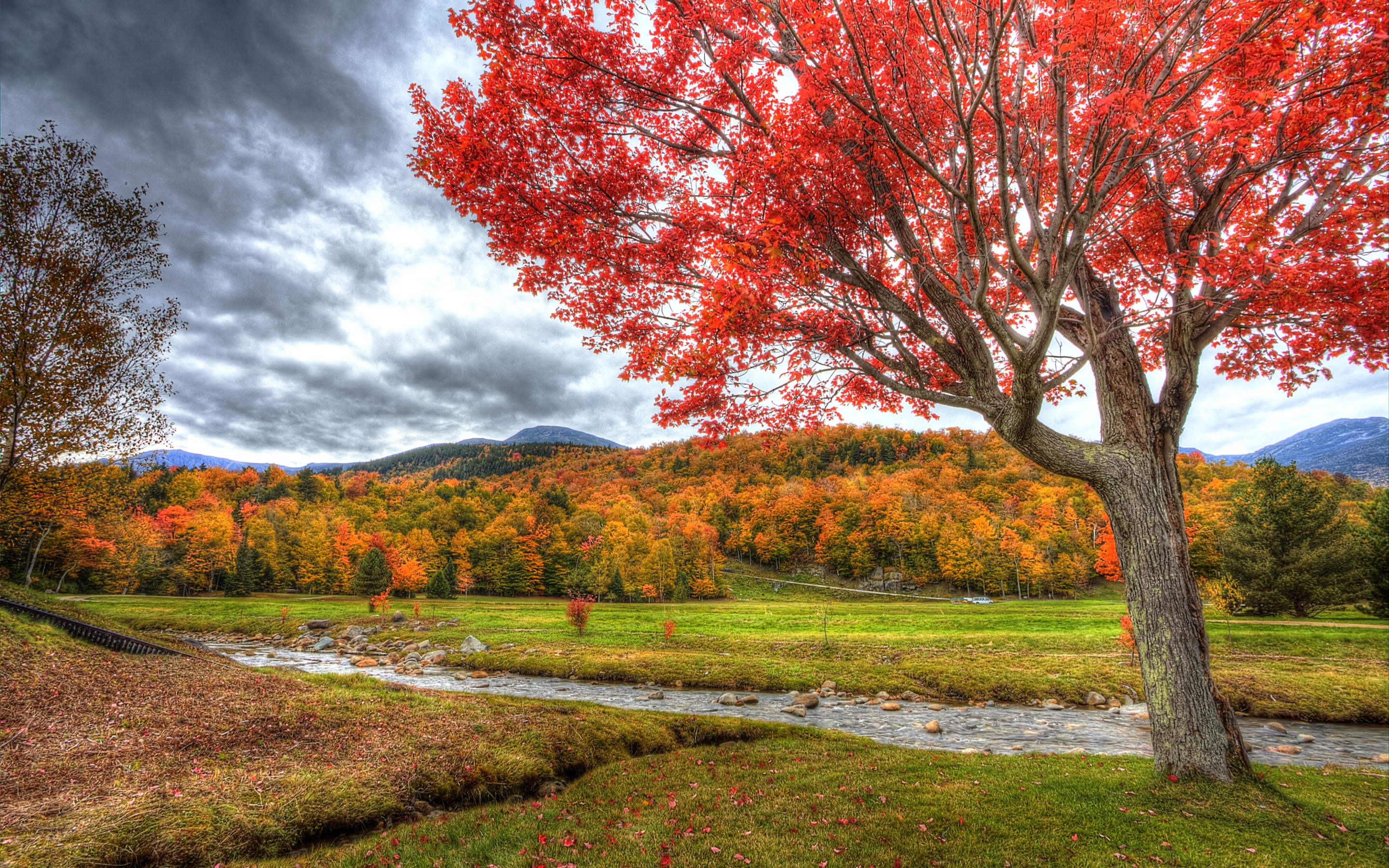 Colorful Autumn Tree Wallpapers - Wallpaper Cave