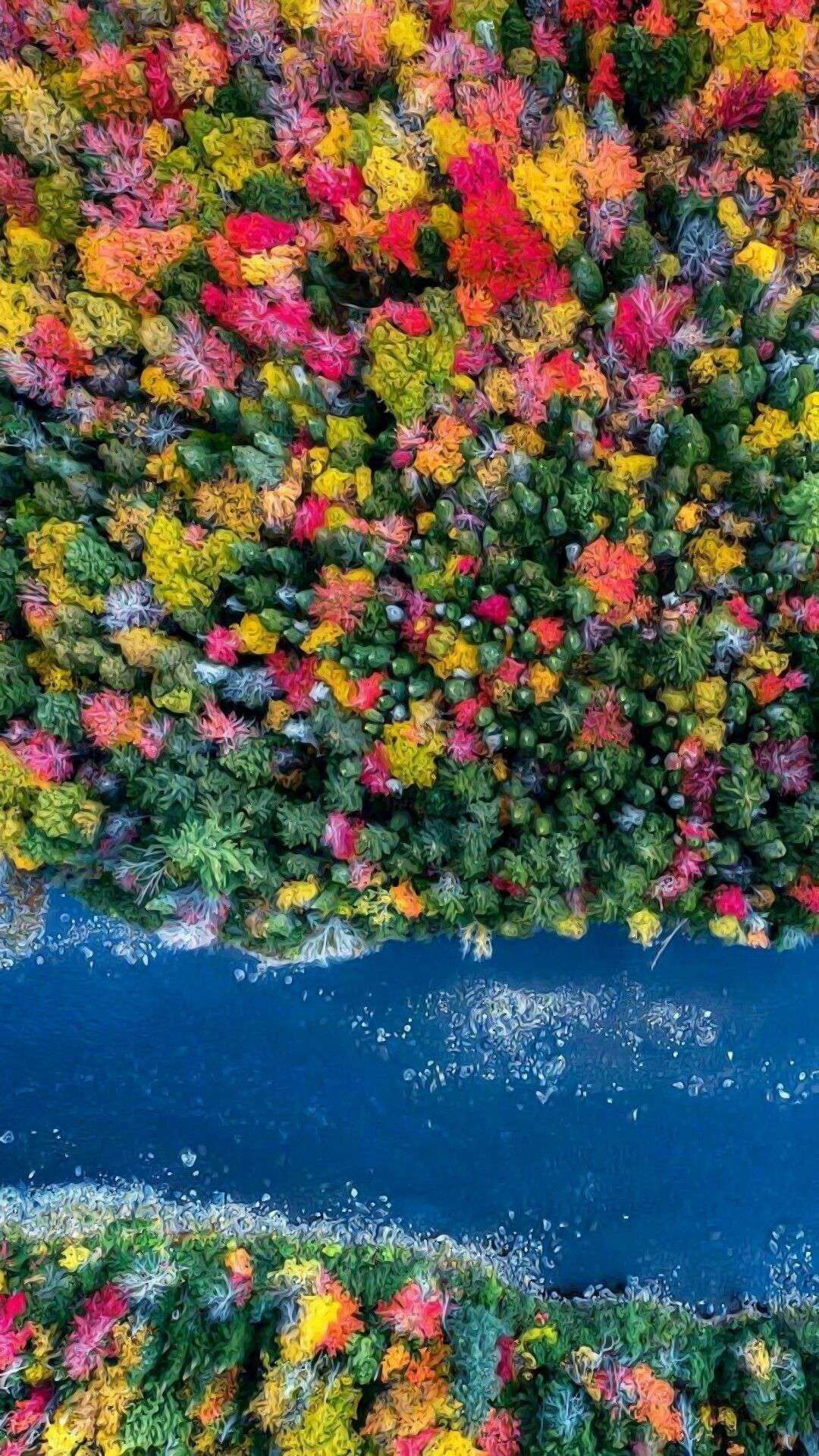 Colorful Autumn Tree Wallpapers - Wallpaper Cave